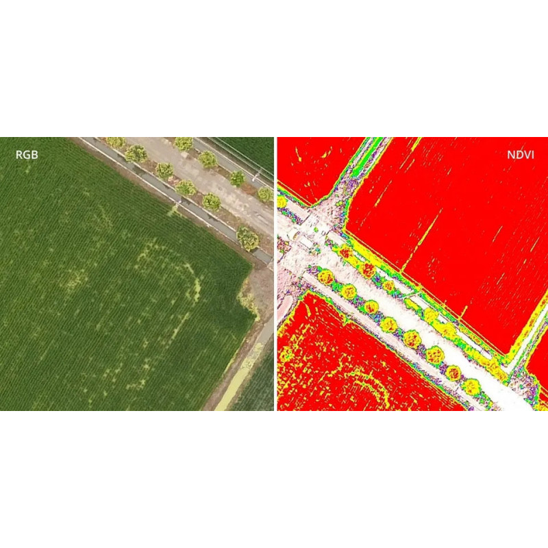 DJI Phantom 4 Multispectral - ABOT