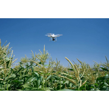 DJI Phantom 4 Multispectral - ABOT